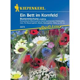 Blumenmischung ein Bett im Kornfeld - Blumensamen - Kiepenkerl