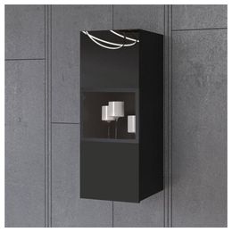 Lomadox Vitrine HOOVER-83 Hängevitrine schwarz modern mit Glasfront