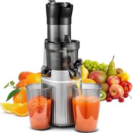 AMZCHEF Slow Juicer SJ02OT2