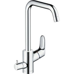 Hansgrohe Küchenarmatur Focus M41 260 Geräteabsperrventil 1 Strahlart, chrom, silberfarben