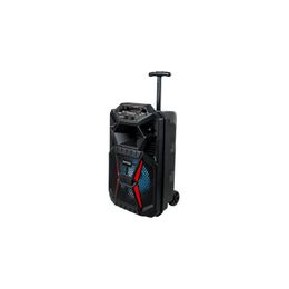 Denver TSP-120 - party speaker - for portable use - wireless