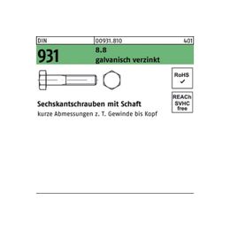 Reyher Sechskantschraube 100er Pack Sechskantschraube DIN 931 Schaft M16x 250 8.8 galv.verz. 1