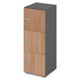 Hammerbacher Schließfachschrank grafit, nussbaum V234L3/G/N/ZS, 3 Schließfächer 40,0 x 42,0 x 110,0 cm