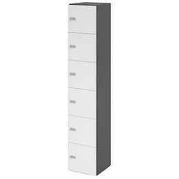 Hammerbacher Schließfachschrank grafit, weiß V264L6/G/W/ZS, 6 Schließfächer 40,0 x 42,0 x 215,6 cm