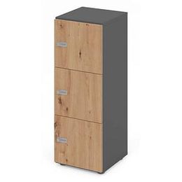 Hammerbacher Schließfachschrank grafit, asteiche V234L3/G/R/ZS, 3 Schließfächer 40,0 x 42,0 x 110,0 cm