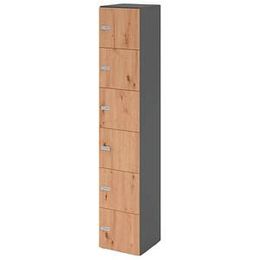 Hammerbacher Schließfachschrank grafit, asteiche V264L6/G/R/ZS, 6 Schließfächer 40,0 x 42,0 x 215,6 cm