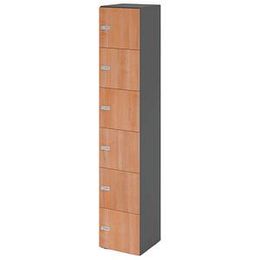 Hammerbacher Schließfachschrank grafit, nussbaum V264L6/G/N/ZS, 6 Schließfächer 40,0 x 42,0 x 215,6 cm