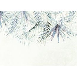 Komar Vliestapete "Palm Spring" Tapeten Gr. B/L: 350 m x 250 m, Rollen: 1 St., bunt Blumentapeten