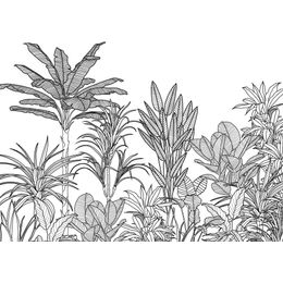 Komar Vliestapete "Savanna" Tapeten Gr. B/L: 350 m x 250 m, Rollen: 1 St., schwarz (schwarz, weiß) Blumentapeten