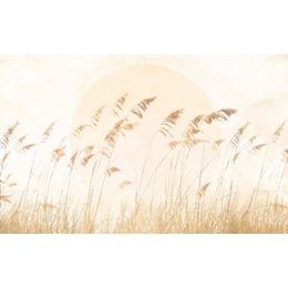 Komar Vliestapete "Dune Grass" Tapeten Gr. B/L: 400 m x 250 m, Rollen: 1 St., braun (braun, gelb) Blumentapeten