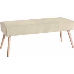 Sitzbank Max Winzer "Sit" Sitzbänke Gr. B/H/T: 114 cm x 48 cm x 40 cm, Samtvelours 20442, beige (creme) Holzbänke