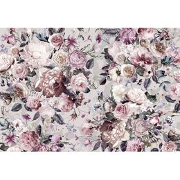 Komar Vliestapete "Lovely Blossoms" Tapeten Gr. B/L: 350 m x 250 m, Rollen: 1 St., bunt Blumentapeten