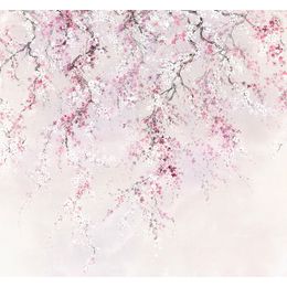 Komar Vliestapete "Kirschblüten" Tapeten Gr. B/L: 300 m x 280 m, Rollen: 1 St., rosa (rosa, weiß) Blumentapeten