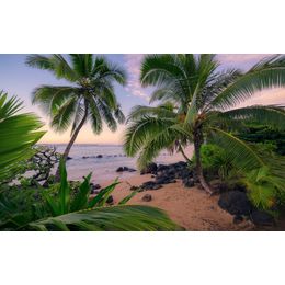 Komar Vliestapete "Hawaiian Dreams" Tapeten Gr. B/L: 450 m x 280 m, Rollen: 1 St., bunt Vliestapeten