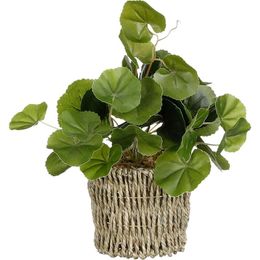 Mica Decorations - Mica Kunstpflanze Pilea im Korb grün 33 x 12 cm Kunstpflanzen