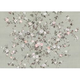 Komar Vliestapete "Rosellia" Tapeten Gr. B/L: 350 m x 250 m, Rollen: 1 St., rosa (grau, weiß, rosa) Blumentapeten