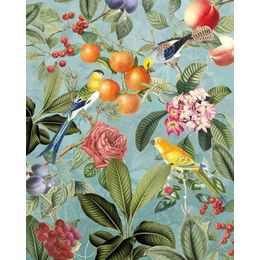 Komar Vliestapete "Birds and Berries" Tapeten Gr. B/L: 200 m x 250 m, Rollen: 1 St., bunt Blumentapeten