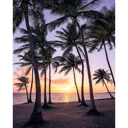 Komar Vliestapete "Palmtrees on Beach" Tapeten Gr. B/L: 200 m x 250 m, Rollen: 1 St., bunt Vliestapeten