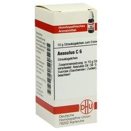 DHU-Arzneimittel Aesculus C 6 Globuli 10 g