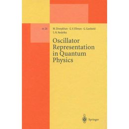 Springer Berlin Heidelberg Oscillator Representation in Quantum Physics - M. Dineykhan, G. V. Efimov, G. Ganbold, S. N. Nedelko, Kartoniert (TB)