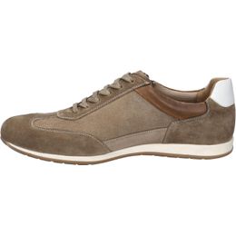 Seibel Sneaker "Colby 03", Wechselsohle, Leder, für Herren, braun, 46