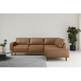 Places of Style Ecksofa Fumone, Lederoptik oder Soft-Touch Chenille, Breite 260, mit schwarzen Massivholzfüßen, beige|braun