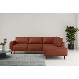 Places of Style Ecksofa Fumone, Lederoptik oder Soft-Touch Chenille, Breite 260, mit schwarzen Massivholzfüßen, braun