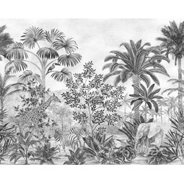 Komar Vliestapete "Jungle Evolution" Tapeten Gr. B/L: 350 m x 280 m, Rollen: 1 St., schwarz (schwarz, weiß) Vliestapeten