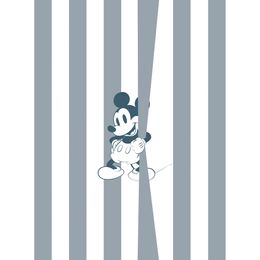 Komar Vliestapete "Mickey Offbeat" Tapeten Gr. B/L: 200 m x 250 m, Rollen: 1 St., bunt (bunt, grau, weiß) Vliestapeten