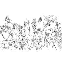 Komar Vliestapete "Butterfly Field" Tapeten Gr. B/L: 400 m x 250 m, Rollen: 1 St., bunt Blumentapeten