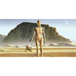 Komar Vliestapete "Star Wars Classic RMQ Droids" Tapeten Gr. B/L: 500 m x 250 m, Rollen: 1 St., gelb (gelb, braun) Vliestapeten