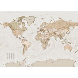 Komar Vliestapete "Earth Map" Tapeten Gr. B/L: 350 m x 250 m, Rollen: 1 St., braun (braun, weiß) Vliestapeten