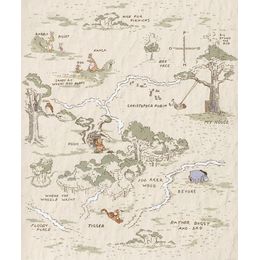 Komar Vliestapete "Winnie the Pooh Map" Tapeten Gr. B/L: 200 m x 240 m, Rollen: 1 St., bunt (braun, grau, schwarz) Vliestapeten