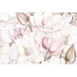 Komar Vliestapete "Petals" Tapeten Gr. B/L: 368 m x 248 m, Rollen: 1 St., rosa (weiß, rosa) Blumentapeten