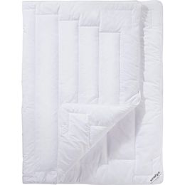 Microfaserbettdecke Schlafgut "Premium" Bettdecken Gr. B/L: 155 cm x 220 cm, warm, weiß Allergiker Bettdecke