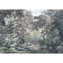 Komar Vliestapete "Fairytale Forest" Tapeten Gr. B/L: 400 m x 280 m, Rollen: 1 St., grau Vliestapeten