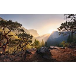 Komar Vliestapete "Yosemites Secret" Tapeten Gr. B/L: 450 m x 280 m, Rollen: 1 St., bunt Vliestapeten