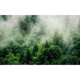 Komar Vliestapete "Forest Land" Tapeten Gr. B/L: 400 m x 250 m, Rollen: 1 St., grün Vliestapeten