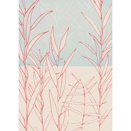 Komar Vliestapete "Plain" Tapeten Gr. B/L: 200 m x 280 m, Rollen: 1 St., bunt (rot, weiß, blau) Blumentapeten