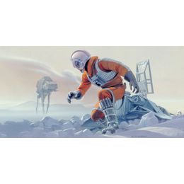 Komar Vliestapete "Star Wars Classic RMQ Hoth Battle Pilot" Tapeten Gr. B/L: 500 m x 250 m, Rollen: 1 St., bunt Vliestapeten