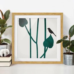 MICASIA Bild mit Rahmen - Grafische Pflanzenwelt - Vogel auf Blatt Größe HxB: 70cm x 70cm, Rahmen: Eiche