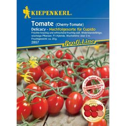 Kiepenkerl® Tomaten Delicacy - Gemüsesamen