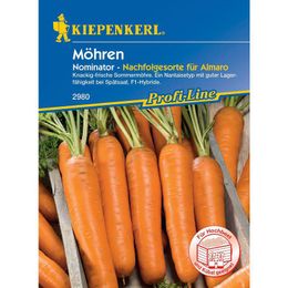 Kiepenkerl - Möhren Nominator F1 - Hybride - Gemüsesamen