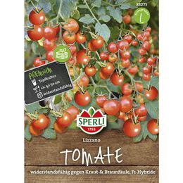 Sperli Tomaten Lizzano F1 - Gemüsesamen