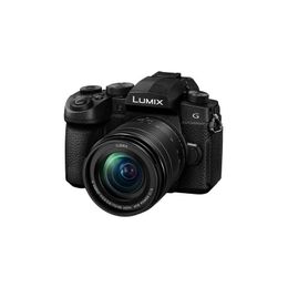 Panasonic Lumix G DC-G91M - digital camera 12-60mm lens