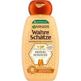 Garnier Wahre Schätze Honig Schätze Reparierendes Shampoo