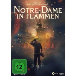 Notre-Dame in Flammen (DVD)