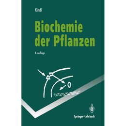 Springer Berlin Heidelberg Biochemie der Pflanzen - Helmut Kindl, Kartoniert (TB)