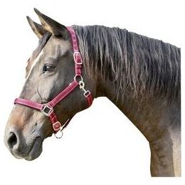 Kerbl Pferde-Halfter Mustang Gr. 1 rot schwarz