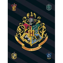 Kinderdecke Harry Potter Fleecedecke Schwarz Kuscheldecke Wappen Magie 140 x 100cm